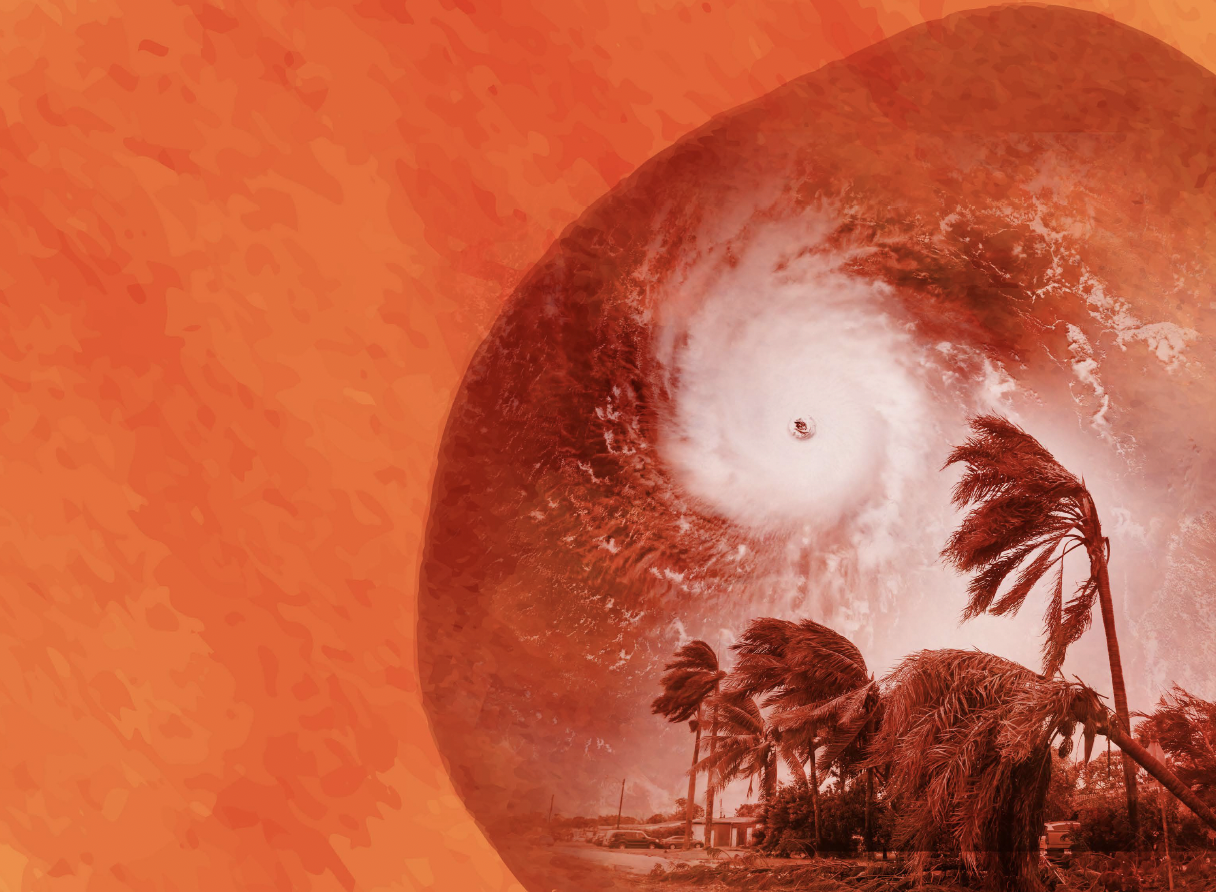 Ocean Risks and Resilience in SIDS and LDCs - Gulf of Maine Research ...