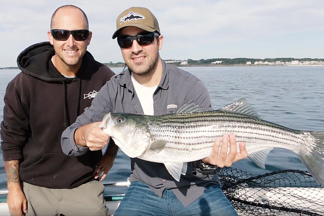 Snap-a-Striper - Gulf of Maine Research Institute