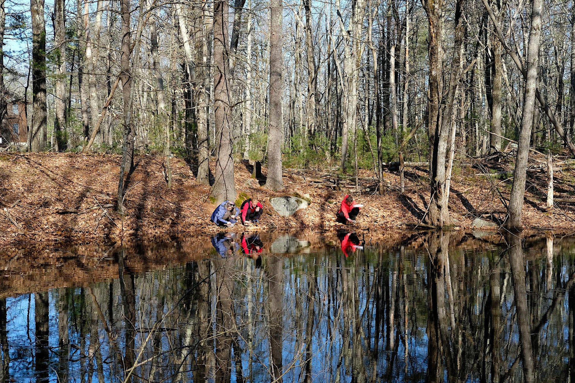 Vernal Pool Spring Blitz - Gulf of Maine Research Institute