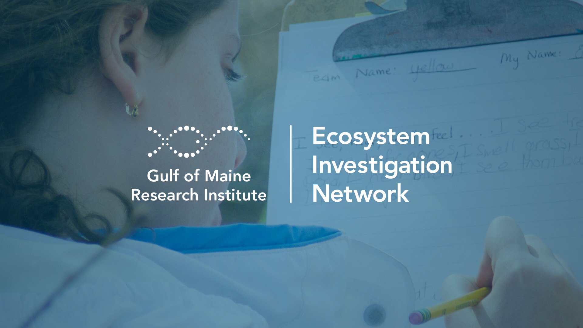 New: Ecosystem Investigation Network - Gulf of Maine Research Institute